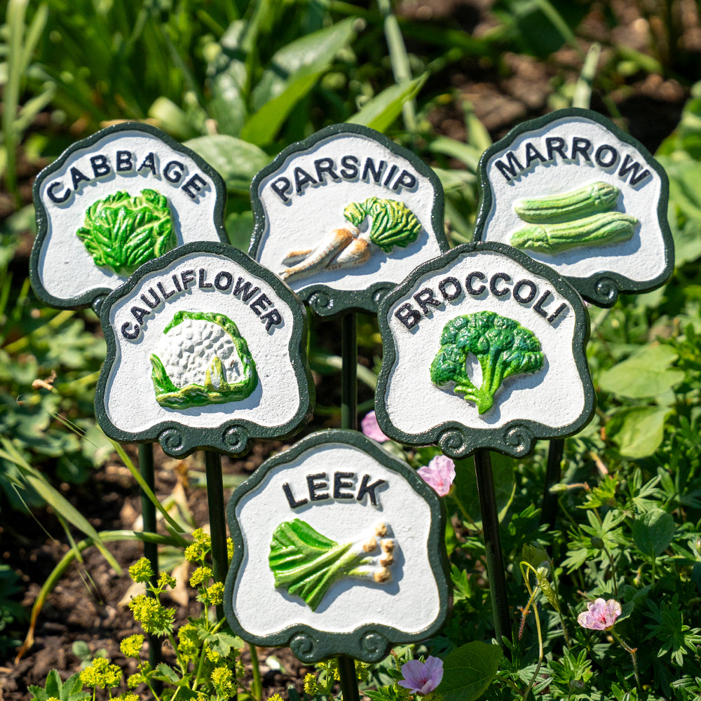 Six Vegetable Plant Signs – Forge & Foundry Limited